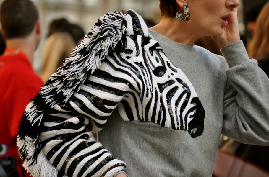 Zebra-Fashion | Magma. Você precisa. A magma tem.